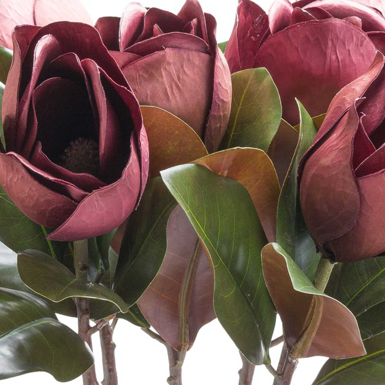 Deep Purple Magnolia Stem – Luce Interiors